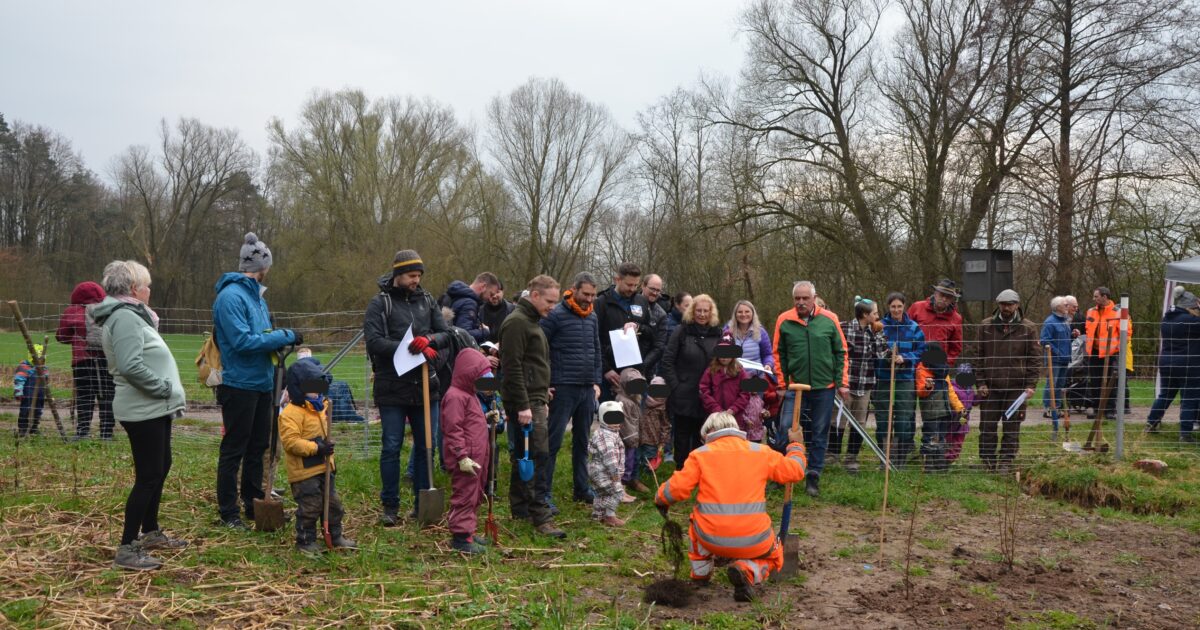 Baumpflanzaktion der Gemeinde Mainaschaff