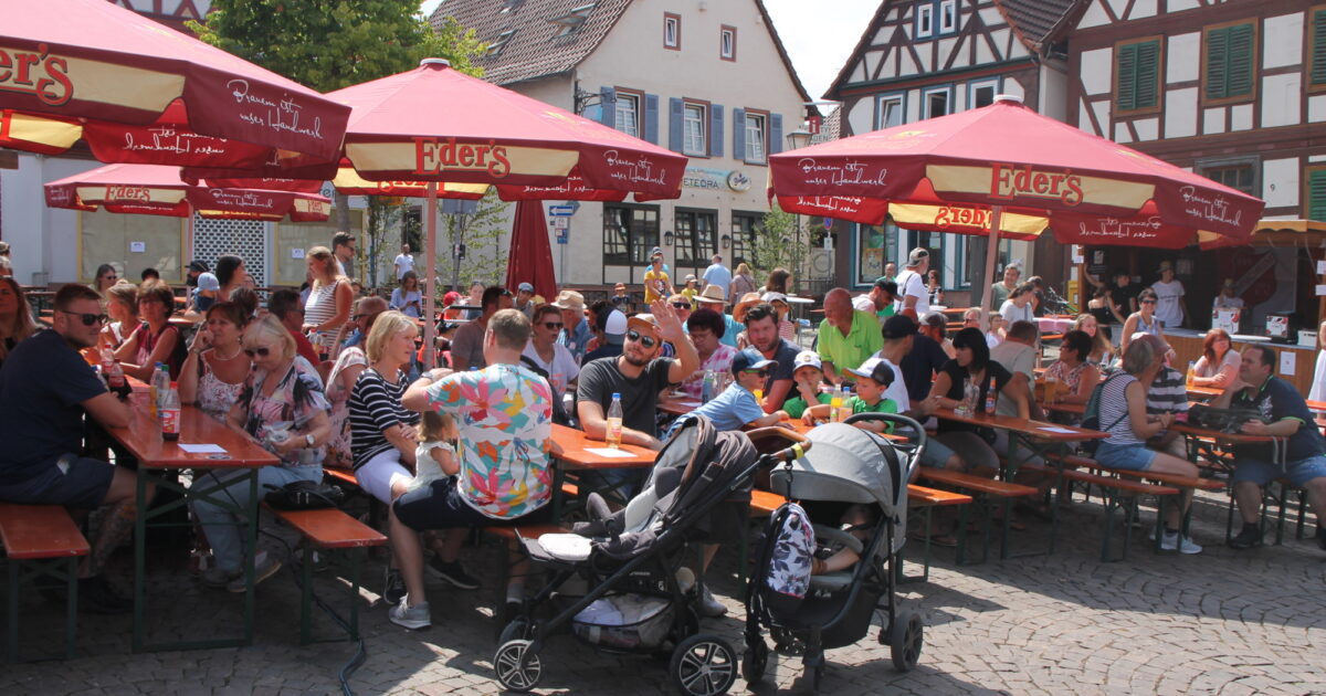 Einblicke ins Bachgaufest Großostheim!
