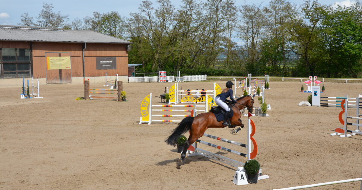 Großes Springturnier des Reit- und Fahrvereins Großostheim