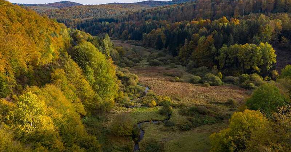 Hafenlohrtal im Spessart für "Naturwunder des Jahres" nominiert